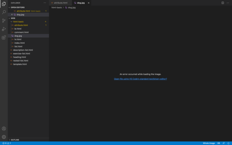 VSCodeで画像が表示されない場合の対処法 | プログラミング入門ナビ by Proglus（プログラス）